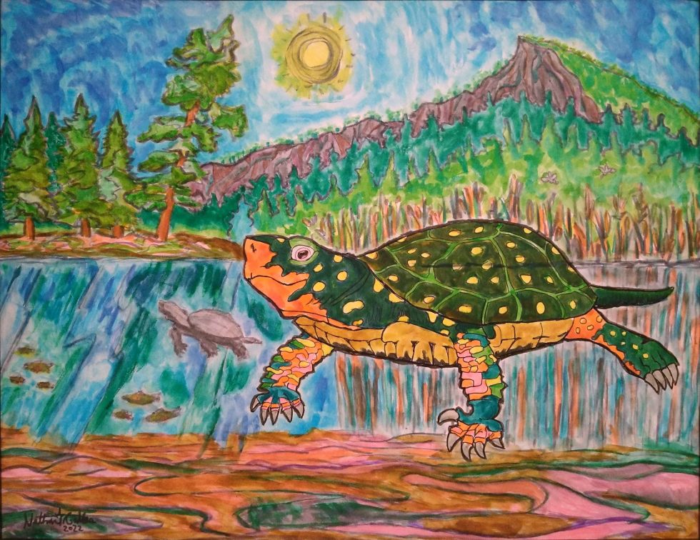 Hart Centre | Inclusive Arts For All Abilities